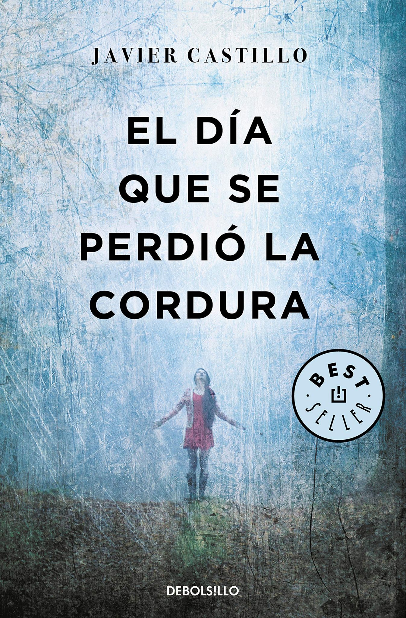 El día que se perdio la cordura, libro de Javier Castillo El día que se perdio la cordura, libro de Javier Castillo
